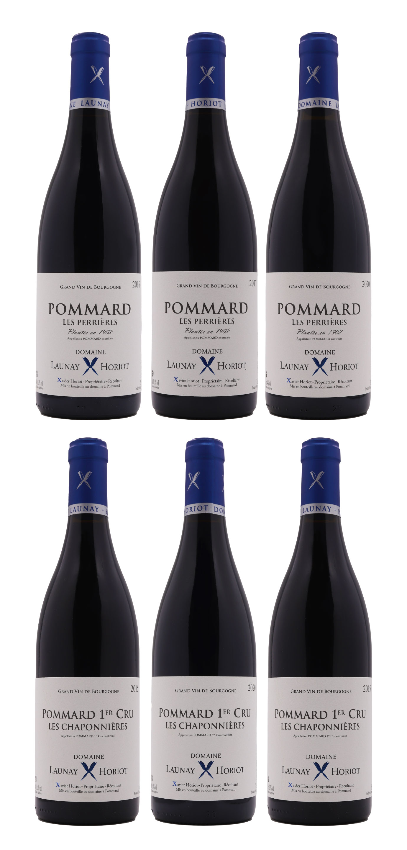 Domaine Launay-Horiot |布根地注目新星引領Pommard迷人風土之旅！ - LMDT 天地人酒窖