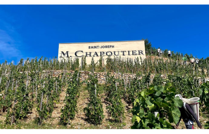 M. Chapoutier|隆河巨星！典藏珍稀限量白酒精品套組！ - LMDT 天地人酒窖