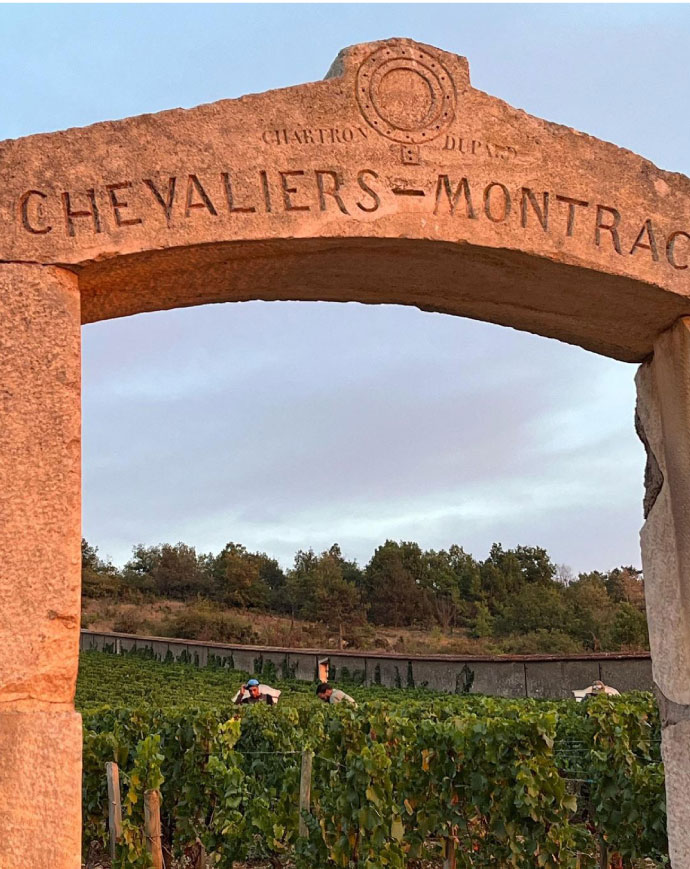 Domaine Jean Chartron |小資族福音！輕鬆品味普里尼蒙哈榭風土魅力 - LMDT 天地人酒窖