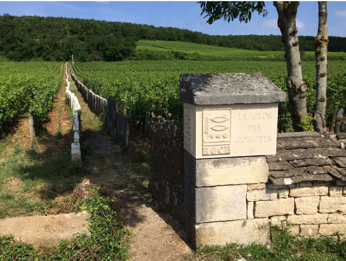 Domaine Prieuré Roch勃根地迷必需密切關注的菜刀酒莊！ - LMDT 天地人酒窖