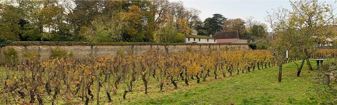 布根地風土巡禮─探索Fonteny一級園風光！ - LMDT 天地人酒窖