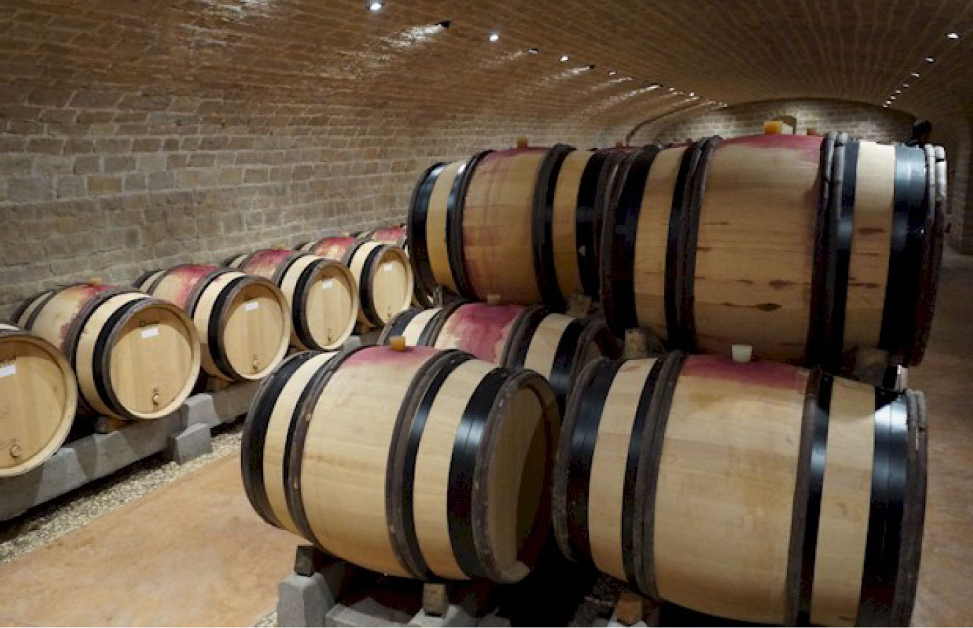 Domaine Sylvain CathiardBourgogne Rouge & Aligote大區紅、白酒 親民新風貌 - LMDT 天地人酒窖