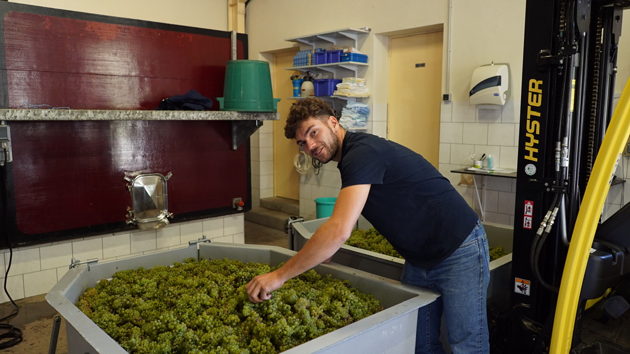 Charles BoigelotMeursault Les Pelles風土實驗 高密度種植重寫莫爾索的風味線條 - LMDT 天地人酒窖